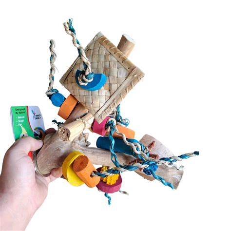 Java Play Perch Pixie Paws Pets