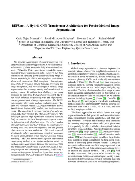 A Hybrid Cnn Transformer Architecture For Precise Medical Image