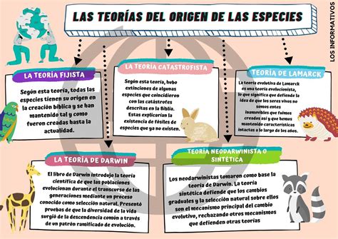 realizar un organizador gráfico sobre los diferentes fenómenos que