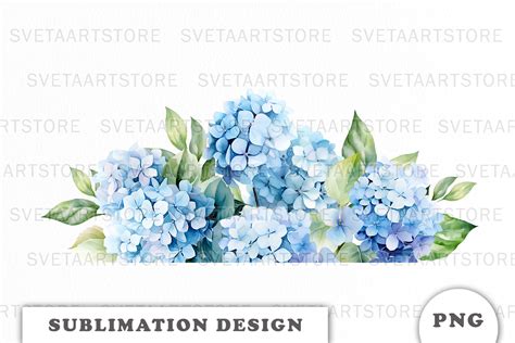 Watercolor Blue Hydrangea Border Png Graphic By Svetlana · Creative Fabrica