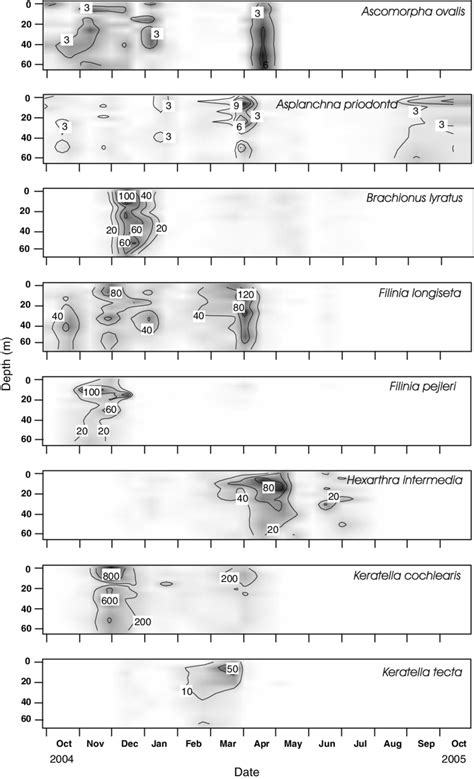 Spatial And Temporal Distribution Of Abundances Individuals L 1 Of Download Scientific