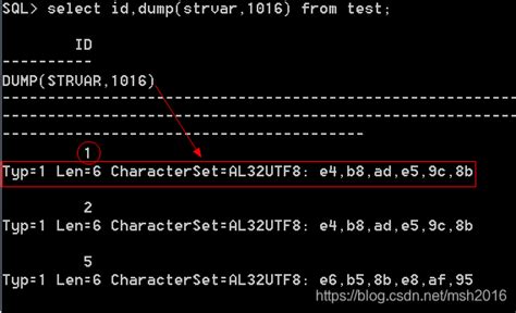 Oracle入门精读29 Oracle客户端字符集与nlslang环境变量oracle Nls Lang Csdn博客