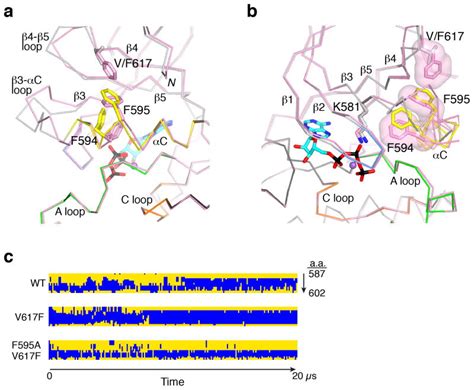 Crystal Structures Of The Jak2 Pseudokinase Domain And The Pathogenic Mutant V617f Pmc