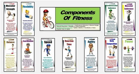 Pe Posters For A Bulletin Board Or Wall 11 Fitness Component Banners Vertical