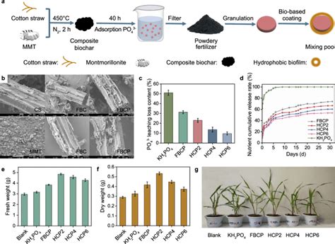 A Schematic Of The Synthesis Of Biofilm Coated Biochar Based Srfs B