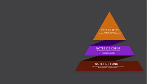 Test Pyramide Collection Prestige Absoluta