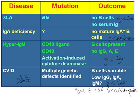 Immunodeficiency Flashcards Memorang