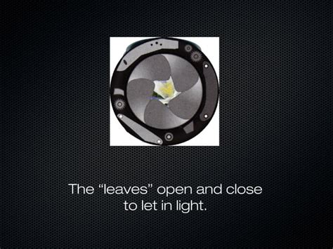 Controlling Your Camera Shutter PPT