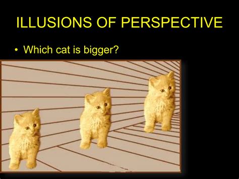 Understanding The Perceptual Process Pptx