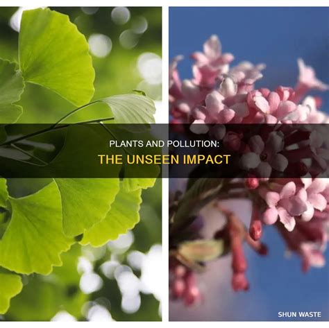 Plants And Pollution The Unseen Impact Shunwaste