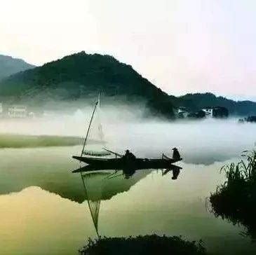 水低为海人低为王深度好文 骆驼 苍蝇 老前辈