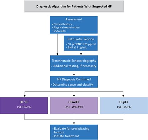2022 Ahaacchfsa Guideline For The Management Of Heart Failure A