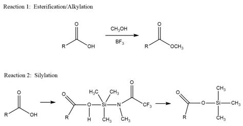 Comparison Of Derivatization Methods For Groomed Latent Print Residues Analysis Via Gas