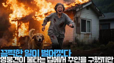 영웅견이 불타는 집에서 주인을 구했지만 끔찍한 일이 벌어졌다 Youtube