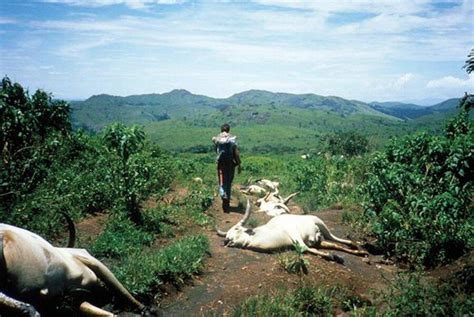 Inside The Lake Nyos Disaster That Killed Over 1 700 People