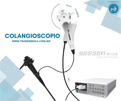 Transmedica Colangioscopio Se Utiliza Para La Inspección Biliar