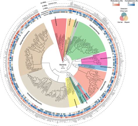 Error Occured Using Gtdbtk Denovowf For Bins · Issue 559 · Ecogenomicsgtdbtk · Github
