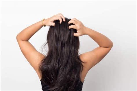 What Does Hair Elasticity Mean Take The Hair Test