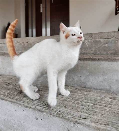 He Will Make A Weird Pose R Hewillbebaked