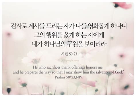 필라델피아 장로교회 책 한권의 은혜 책 이름 감 사 저 자 이 찬수 소 제