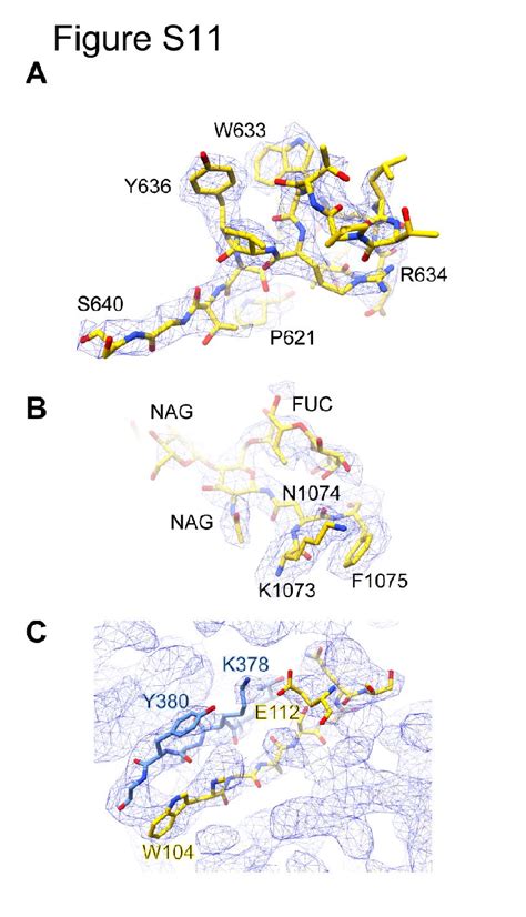 Fig S11 Representative Cryo EM Densities Of PsNbs In Complex With The
