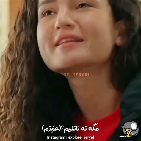 برگ ایبیکه ایلا فیلو