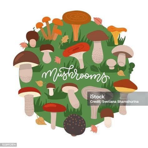 Jamur Vegeterian Yang Dapat Dimakan Menjamur Komposisi Lingkaran Poster