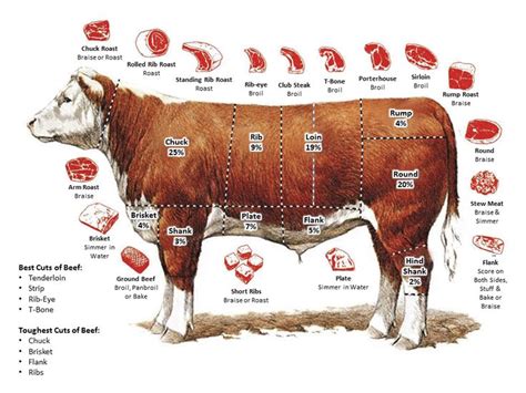 Pin On How To Beef