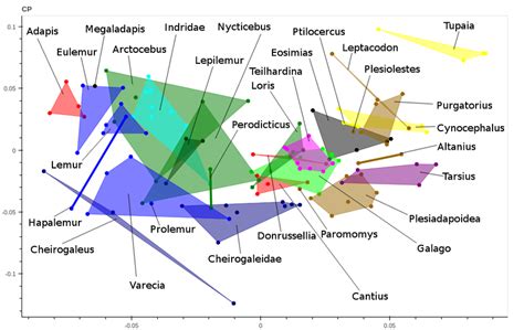 Multi Dimensional Scaling Mds Plots Visualizing Shape Similarities