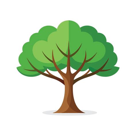 Tree Of Heaven Tree Isolated Flat Illustration On White Background 51074950 Vector Art At Vecteezy