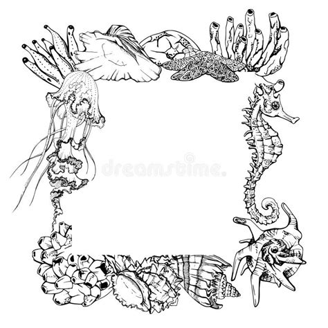 海洋生物海洋水下生物鱼壳藻海藻墨水和笔草绘手绘 边框框 向量例证 插画 包括有 叶子 角落 331946382