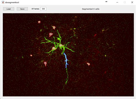 Sbxsegmenttool A Simple Gui For Off Line Segmentation Scanbox