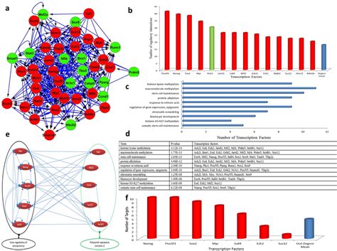 Core Regulatory Network For De Tfs During Maturation Of Reprogramming