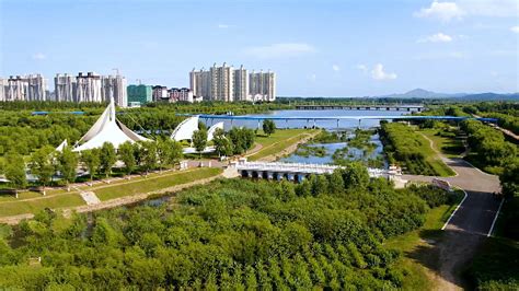 【五大任务 乌兰浩特在行动】内蒙古乌兰浩特市：用森林绘就绿色发展蓝图腾讯新闻
