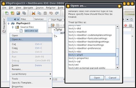 Netbeans Setup For Php Files