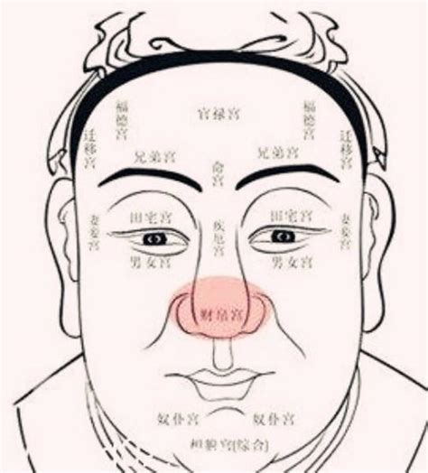 面相三停看何时发财发福