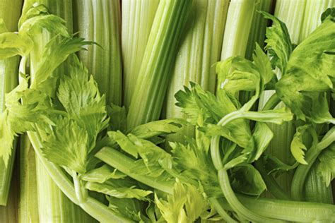 Céleri Bienfaits Recettes Et Astuces Santé Naturaforme