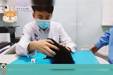 刚出生的小奶狗，因为生病被主人抛弃，却受到好心人细心关爱