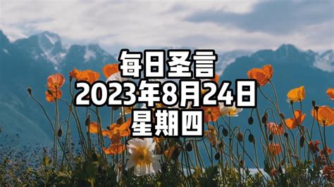 每日圣言2023年8月24日 星期四 YouTube