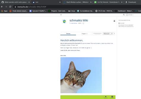 Bilder Werden Nicht Mehr Gespeichert Issue Memowikis Webapp Github