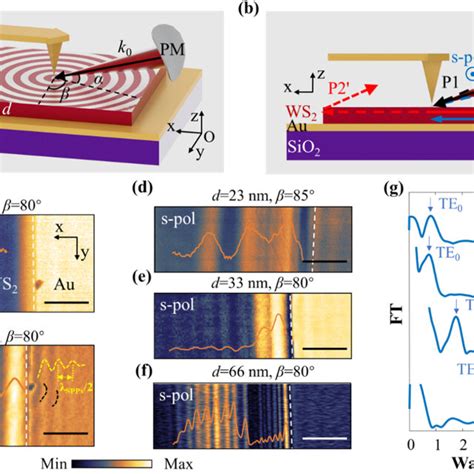 Experimental Schematic Diagram And Nanoimaging Of Ws2 Planar Waveguide Download Scientific