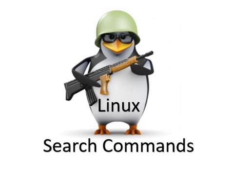 How To Find A File In Linux In All Directories Via Command Line