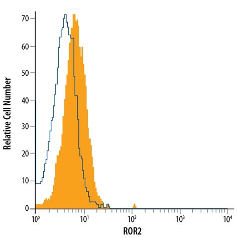 Human Ror2 Alexa Fluor® 488 Conjugated Antibody Fab20641g Randd Systems
