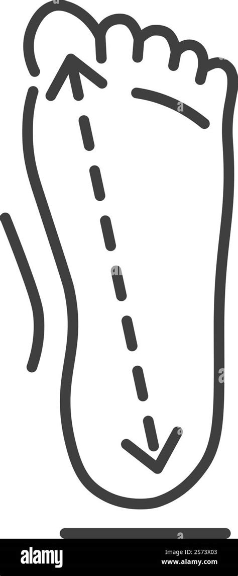 Human Feet Measurements And Dimensions Size Chart For Shoes And