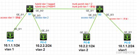 vlan的端口类型抓包 vlan抓包分析 csdn博客