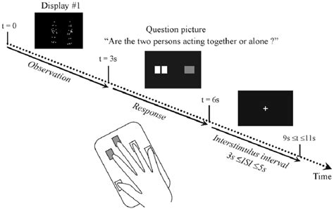 Sequence Of Trial Presentation Across Time The Training Sequence