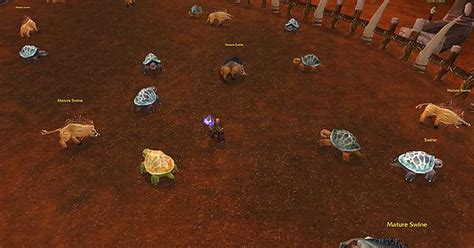 The First Thing I Had To Do Logging On After Patch Imgur