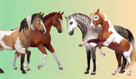 Sso Samequizy