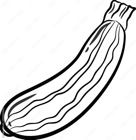 zucchini cute drawing for school flashcard sketch for coloring เวกเตอร