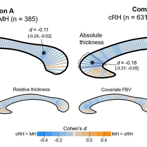 Segment Wise Presentation Of The Effect Size Of The Handedness Group